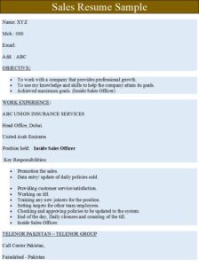 Inside Sales Officer Resume Sample — Latest Resume Sample