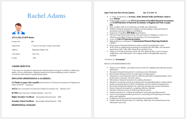 Audit Assistant Manager Resume Sample — Latest Resume Sample